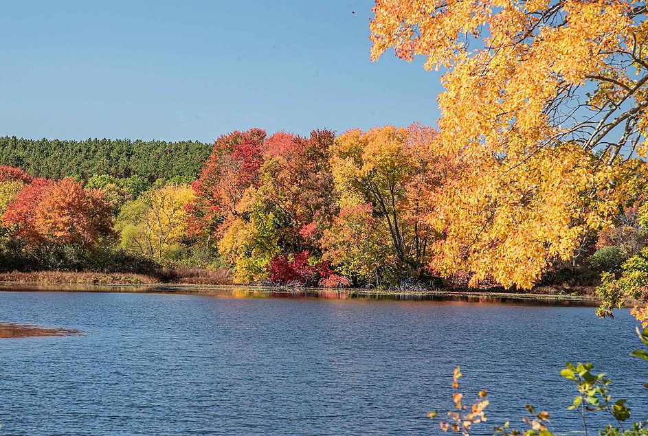 A SIGHT TO BEHOLD: Where to Find the Most Beautiful Fall Foliage ...